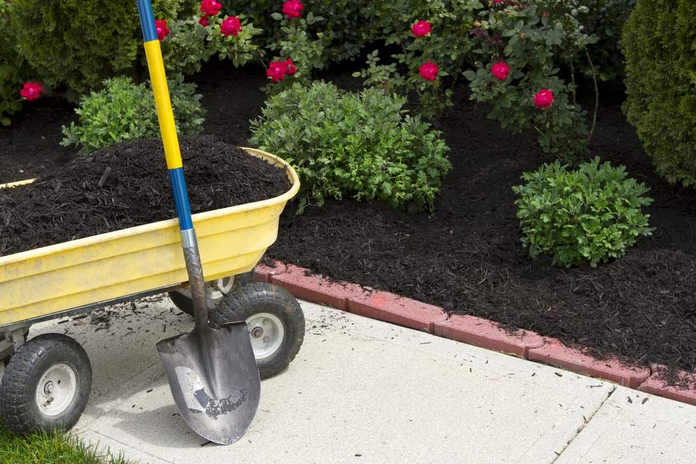 Jacksonville's Favorite Landscaping Company | Yard Depot